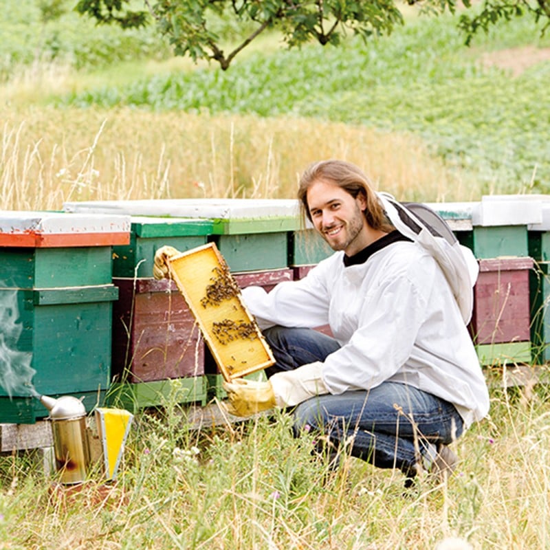 Der Honigmacher » Bio-Honigspezialitäten aus Jois