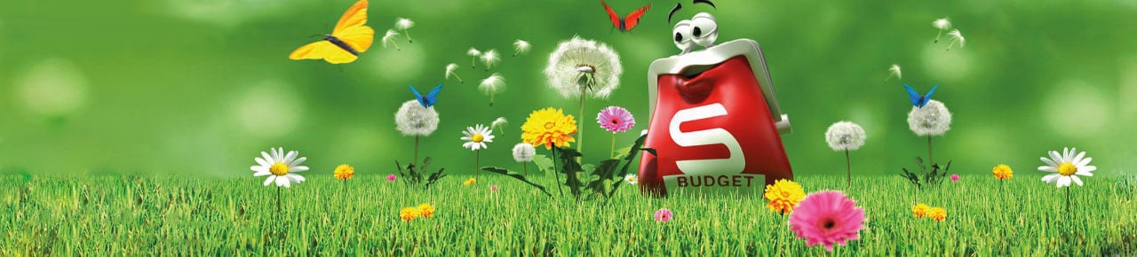 S-BUDGET Markenshop bei »INTERSPAR | INTERSPAR Onlineshop Haushalt ...