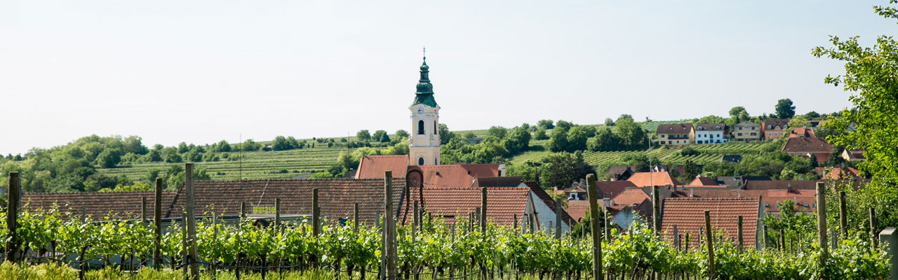 Kamptal DAC | INTERSPAR weinwelt Onlineshop