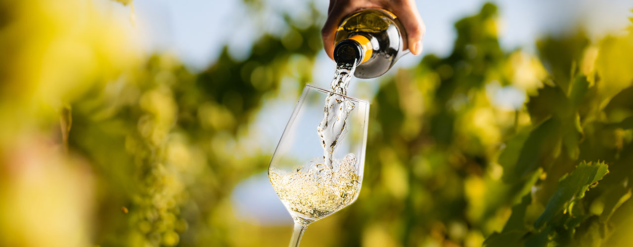 Bioweine vs. Demeter-Weine » Was ist was? | INTERSPAR | INTERSPAR ...