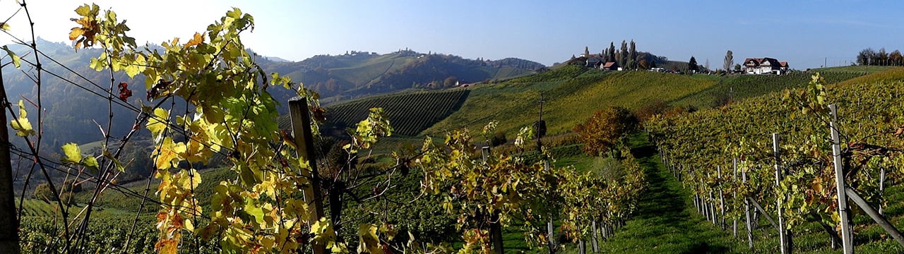 Wein aus Österreich » so schmeckt Heimat | INTERSPAR | INTERSPAR ...