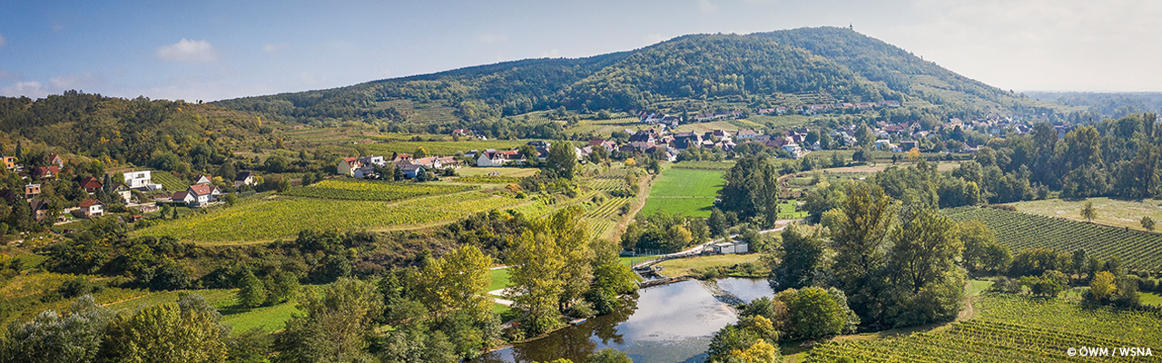 Wein aus dem Kamptal » DAC-Weine mit Herkunft & Stil | INTERSPAR ...