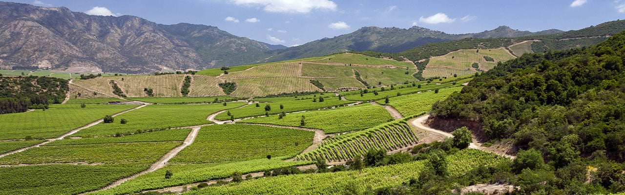 Weine aus Chile | INTERSPAR weinwelt Onlineshop